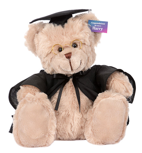 Notre Dame Grad Bear Harry – GFP Graduations