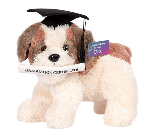 UWA Grad Bear Dex – GFP Graduations